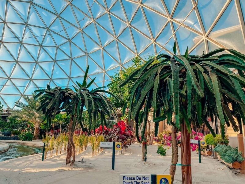 15 Tips for a Disney World Spring Break Trip - Polka Dots & Pixie Dust