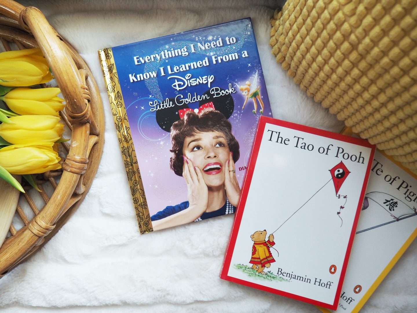 The Best Disney Books for Adults