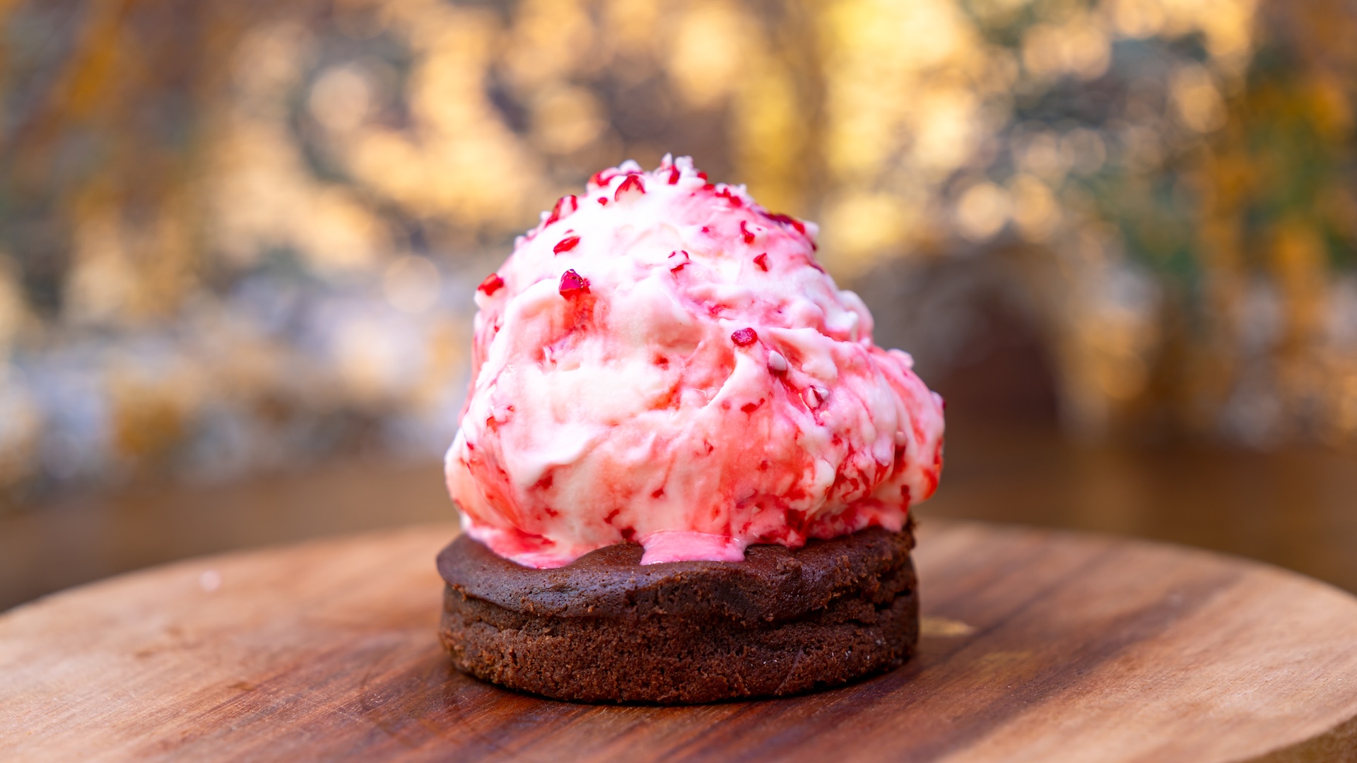 Disneyland Christmas Holiday Guide