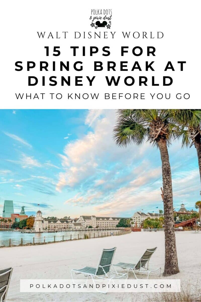 15 Tips for a Disney World Spring Break Trip - Polka Dots & Pixie Dust